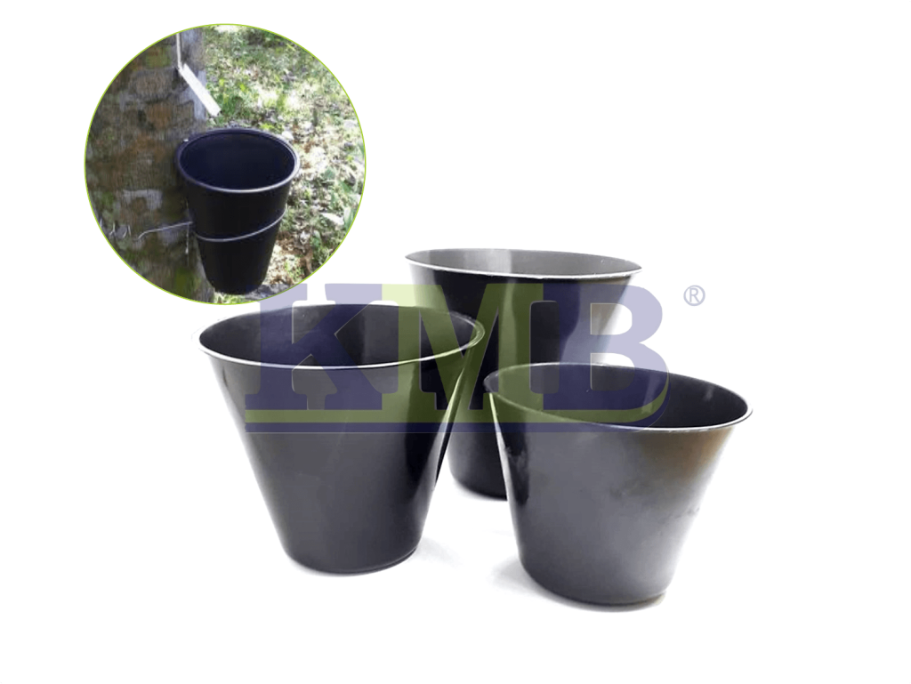 Rubber Tree PE Cup - KMB Resources